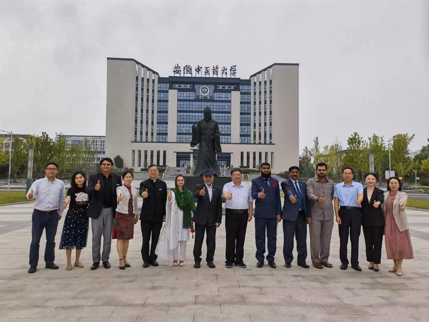 Fire needle and needle-knife: Pakistani experts marvel at TCM therapy