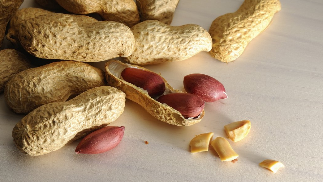 Pak-China peanut cooperation can be a solution to high edible oil prices