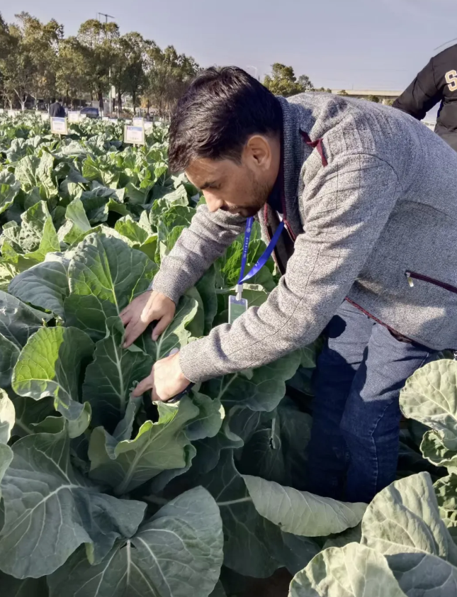 Pakistan China cooperation in various fields | Page 2 | Pakistan ...