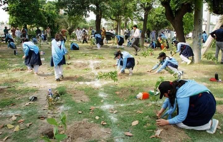 Pak to celebrate Independence Day with tree plantation campaigns